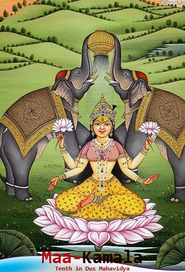 The lotus Goddess Kamla, giver of wealth, money & happiness