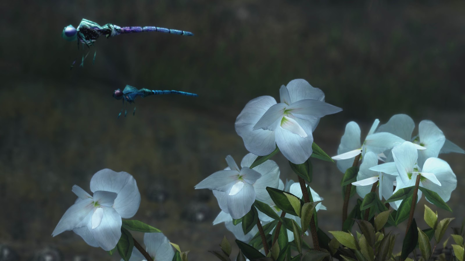 ENB Test : Real Vision ENB