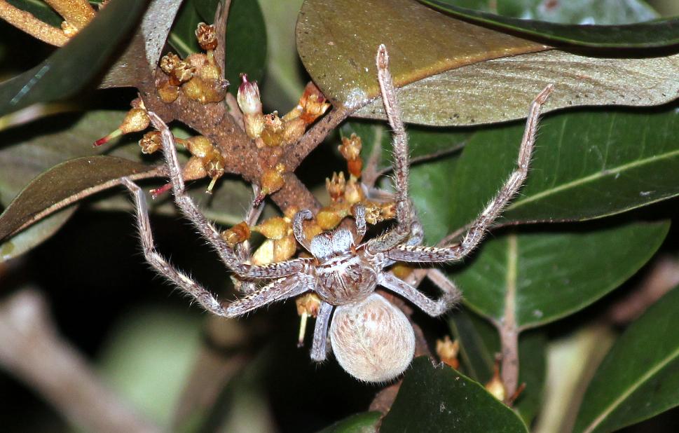Crystal and Bryan in Singapore: Australia Day Two: To Kakadu!
