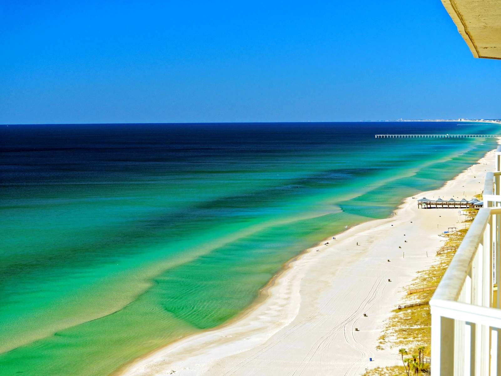 Klopetrotterin sininen kukka: Panama City Beach - Florida.