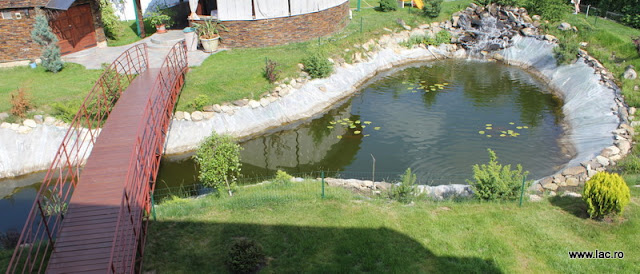 Lacuri, iazuri, bazine, hidroizolatii, constructii acvatice : Iaz ...