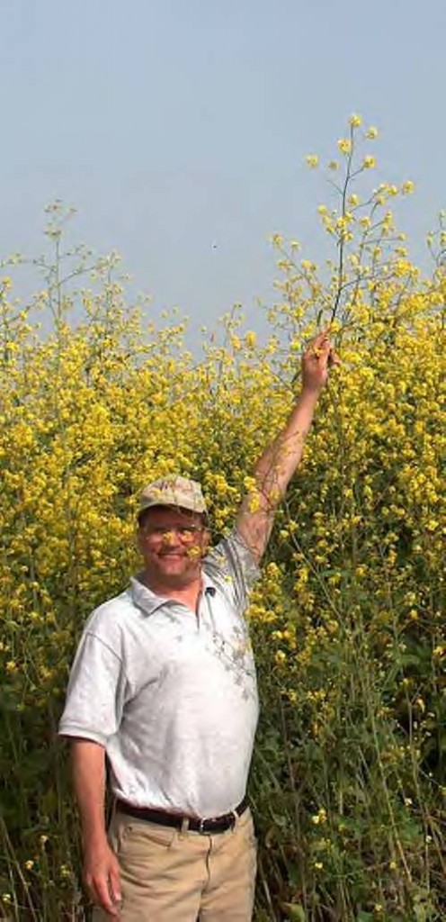 Omgzi's blog: Parable of the Mustard Seed