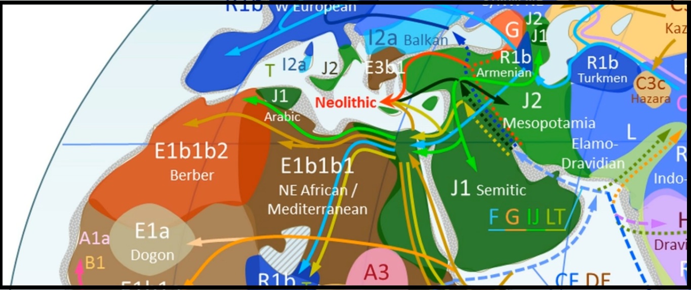 Who are the Amazighs (Berbers) of North Africa ? - WatchinGeo