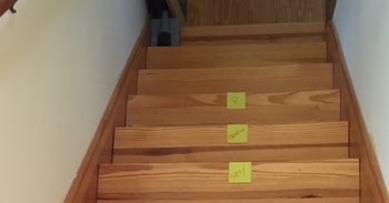 BEEZ in the Belfry: Sweet Steps