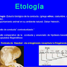 ETOLOGIA ANIMAL