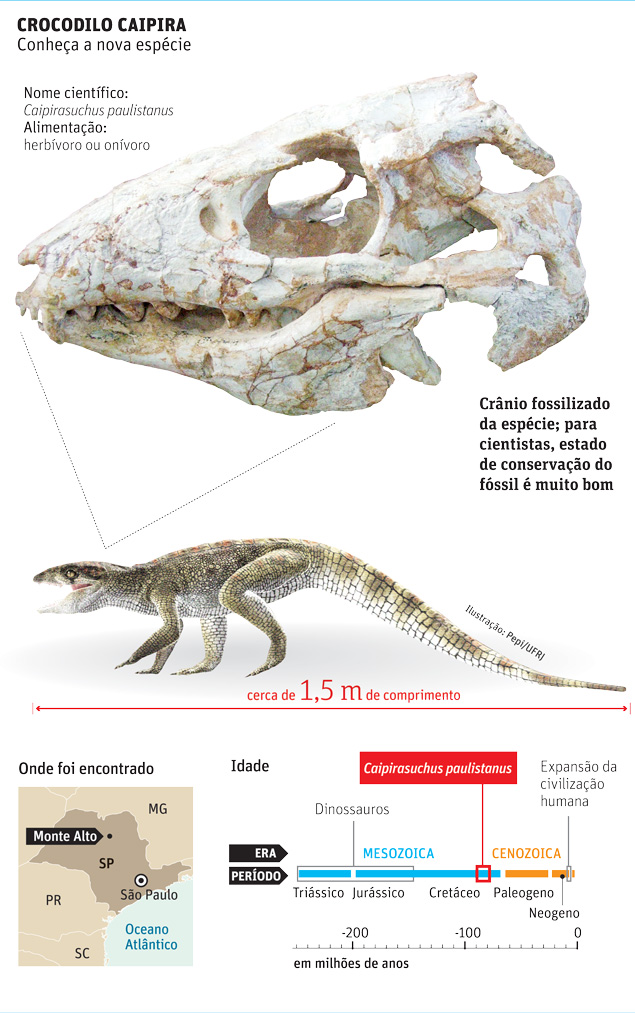 Arquivos do Insólito: Ufologia, Criptozoologia, Fenômenos Anômalos ...
