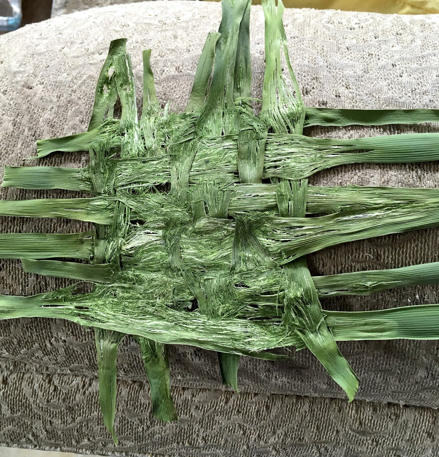 A school of fish: Making and using papyrus