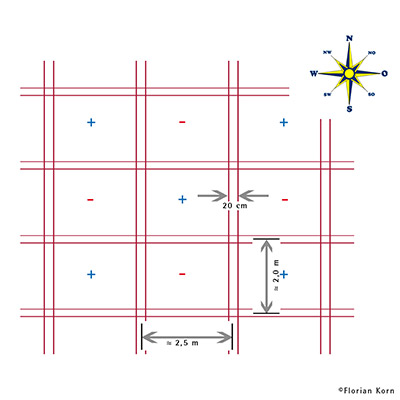 *Recetas para el Alma*: Geopatías: Lineas Hartmann