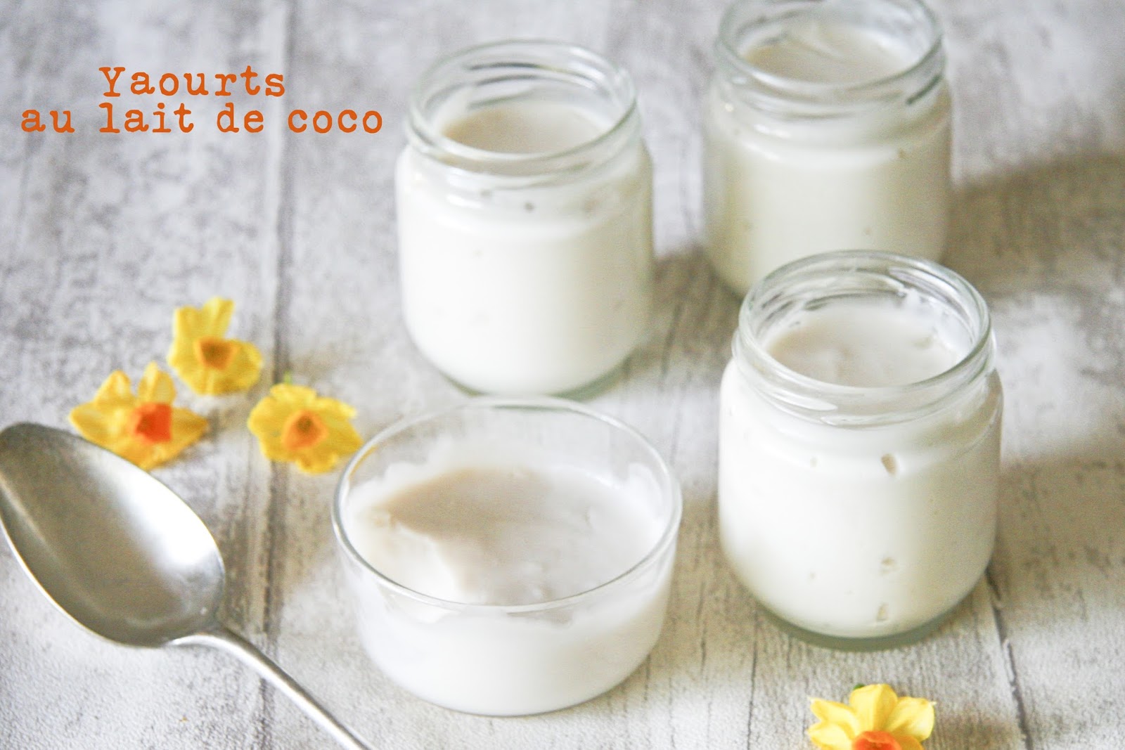 Yaourts au lait de coco