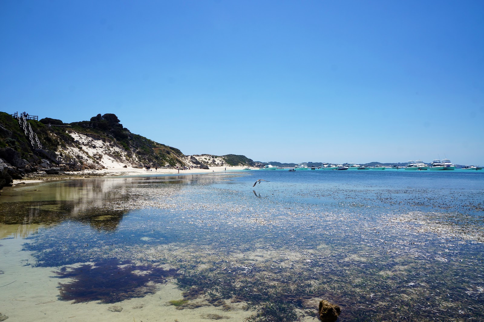 Parker Point Snorkel Trail (Rottnest Island) ~ The Long Way's Better
