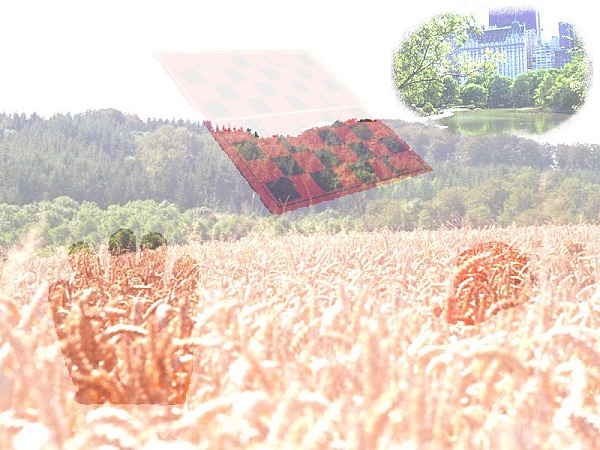 მ ბ ო დ ა ვ ი: ჩემი მეგობარი ჰოლდენ კოლფილდი