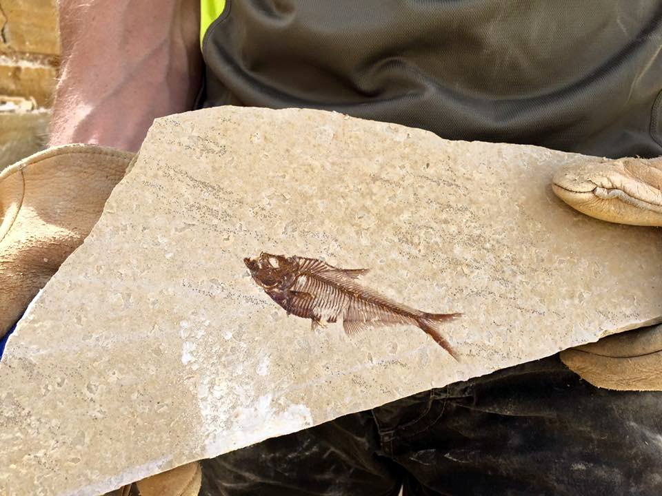 Journeys: Fossil Butte National Monument, Wyoming - Fossil Hunting