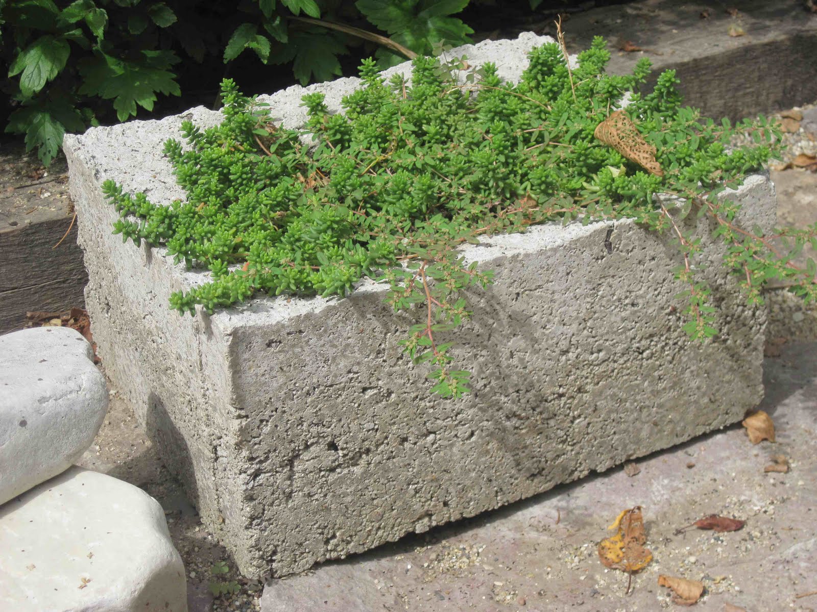 Pleasant Living: A HYPERTUFA PARTY