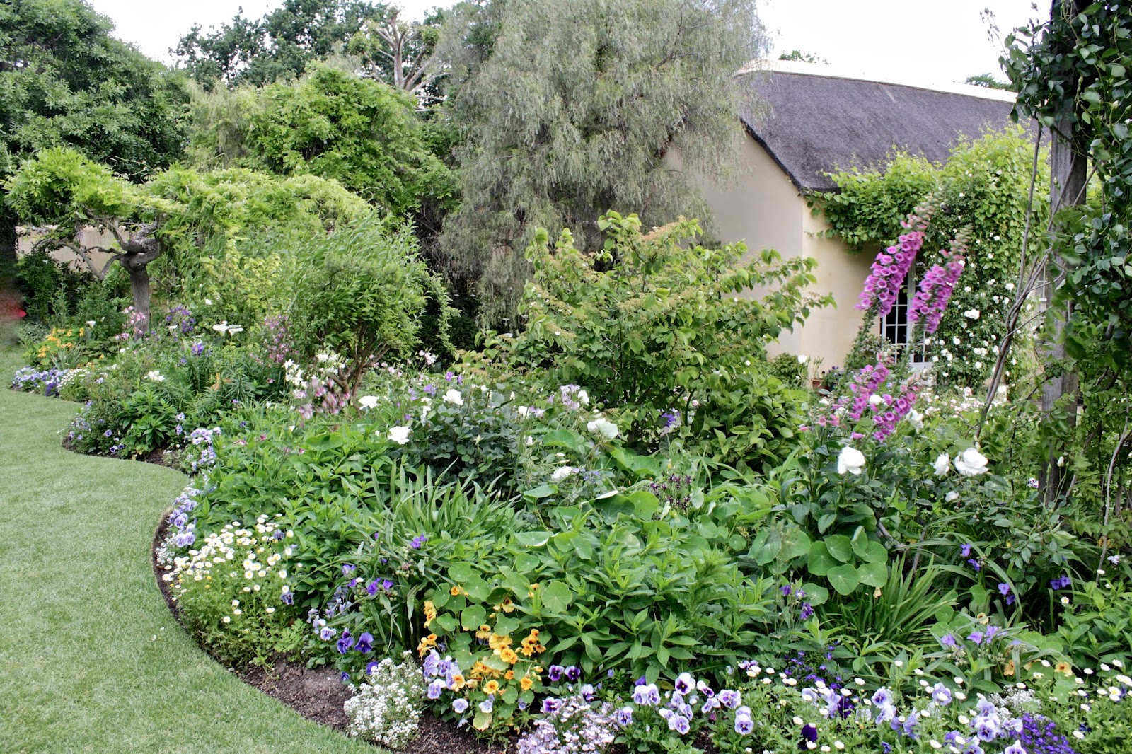 figs flowers food: The PRETTIEST GARDEN I have ever seen