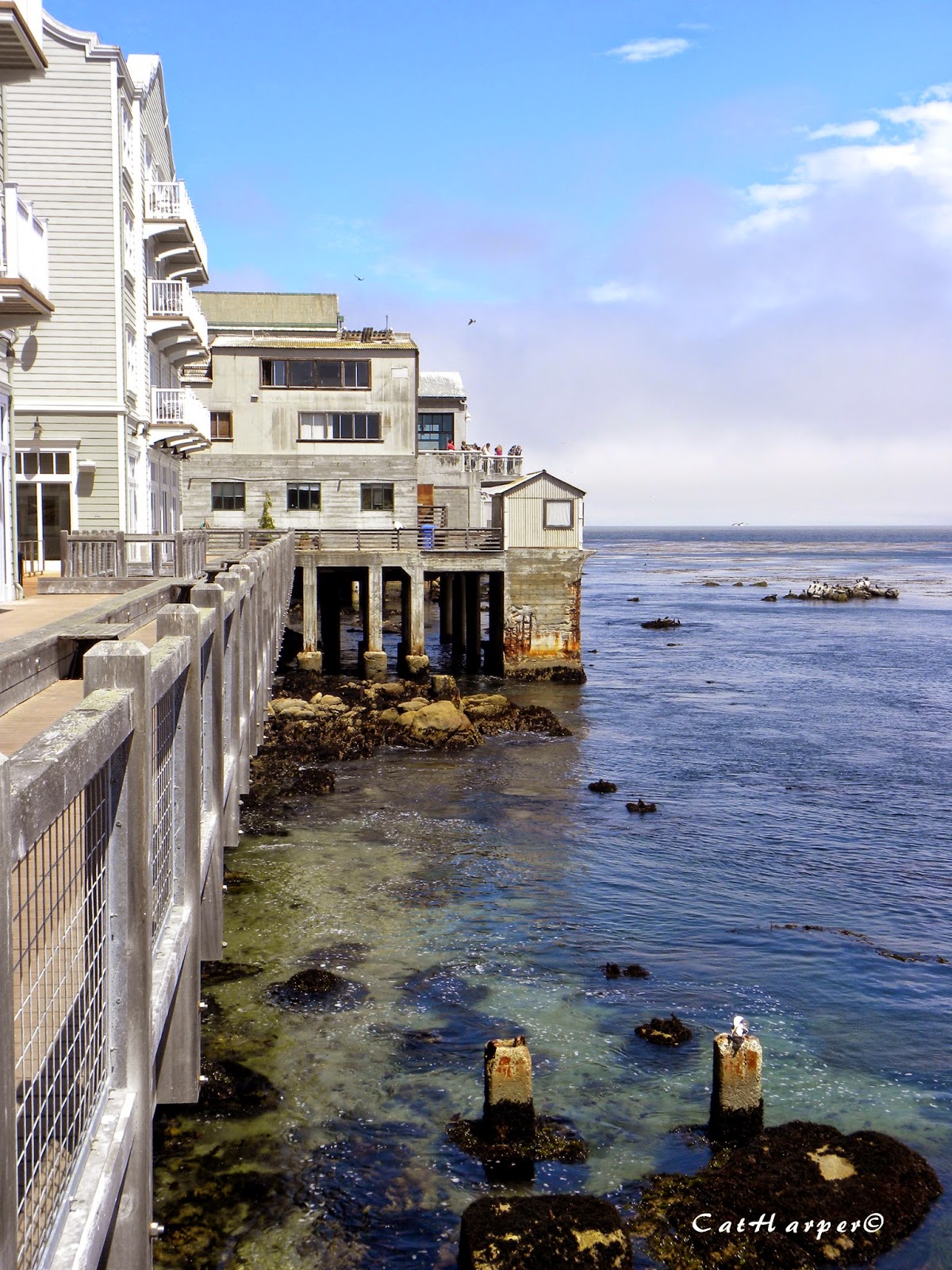 Shutterbug Traveler: Hidden Monterey ~ Part One