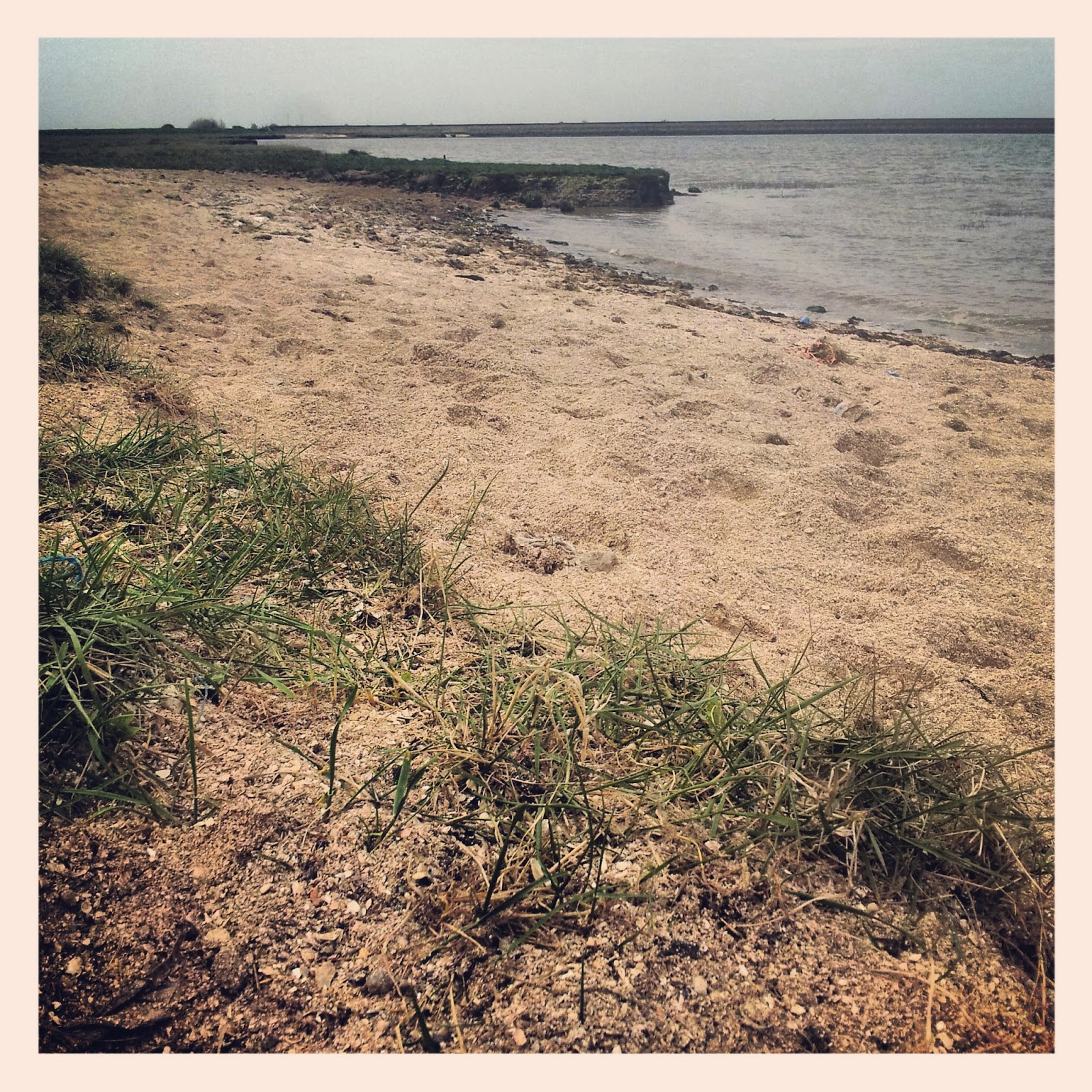 Notes from Kent's Hoo Peninsula: The Great Escape - a walk from High ...