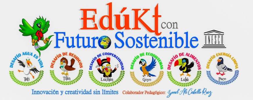 EdúKt 4° : DESAFÍOS