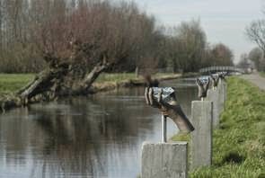 WWAWWW: Schalkwijk Tull en 't Waal kersenpad