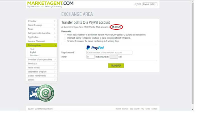 KAKO DA ZARADITE NOVAC POPUNJAVAJUĆI ONLINE ANKETE? - Skitarnik