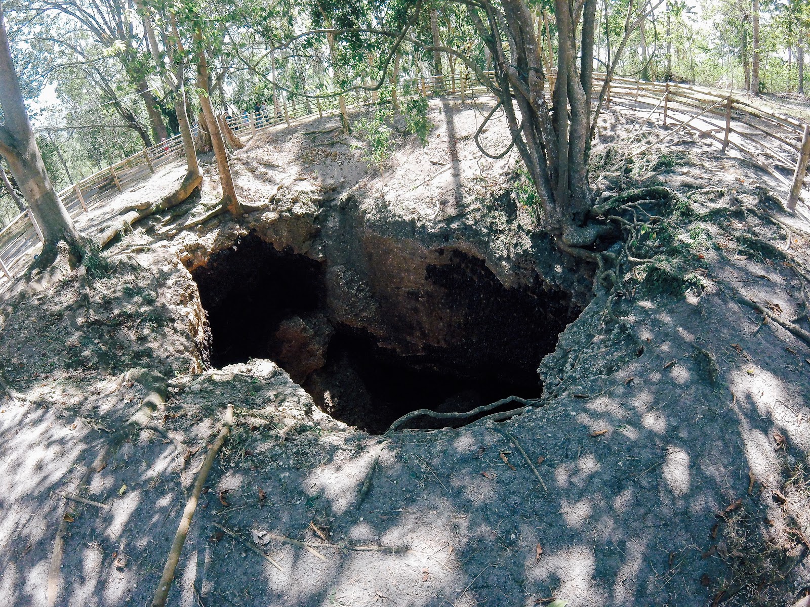 Discover Davao : Monfort Bat Sanctuary - Ochi In The City