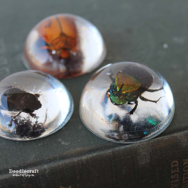 DIY: Clear Casting Resin Paperweights