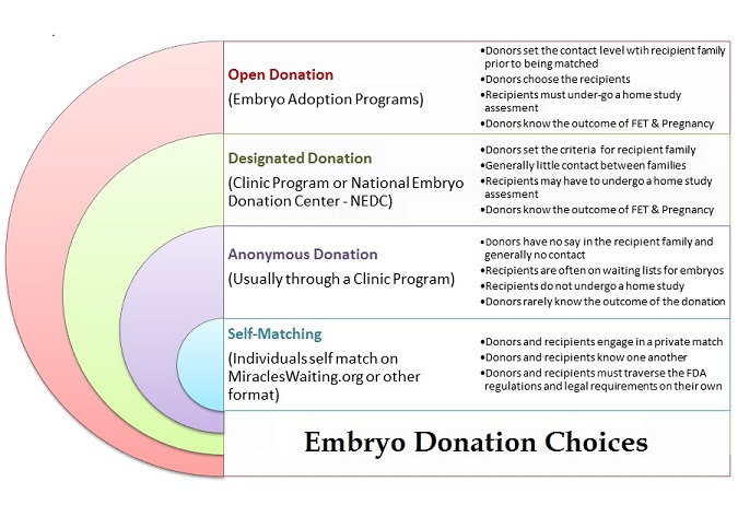 Exploring Embryo Donation Choices - Embryo Adoption Awareness Center