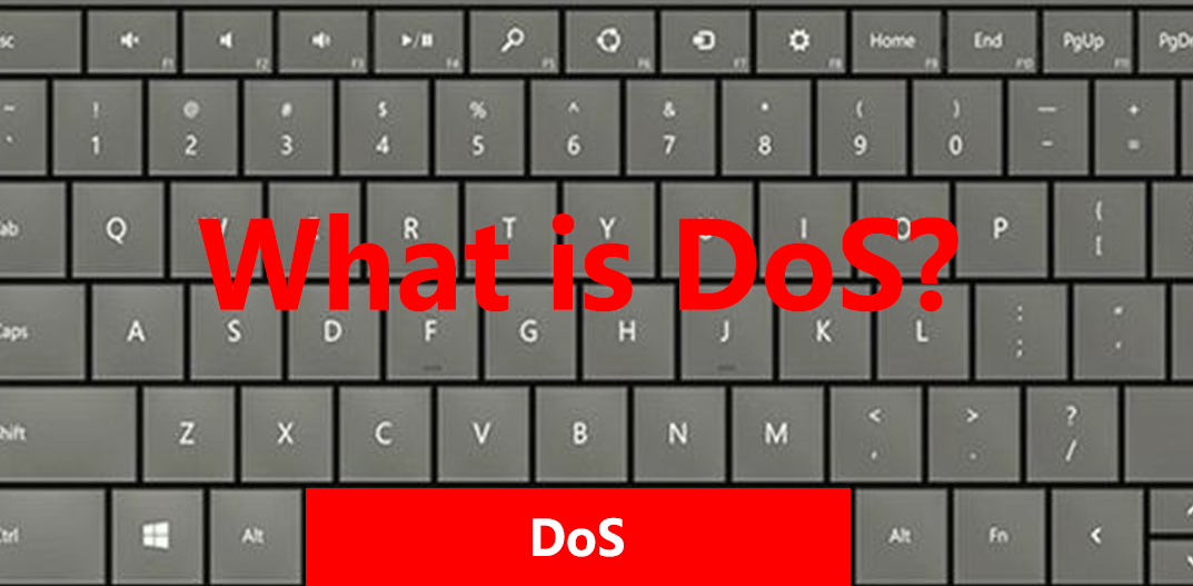 What is DoS? | TRICKSTER
