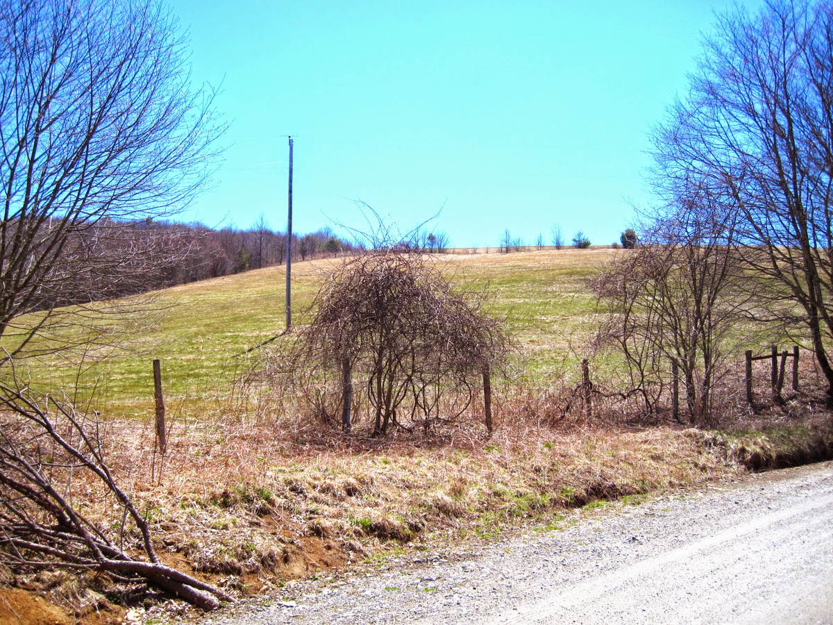 Gary's Outdoor Wanderings2: SEARCH FOR MAX PATCH
