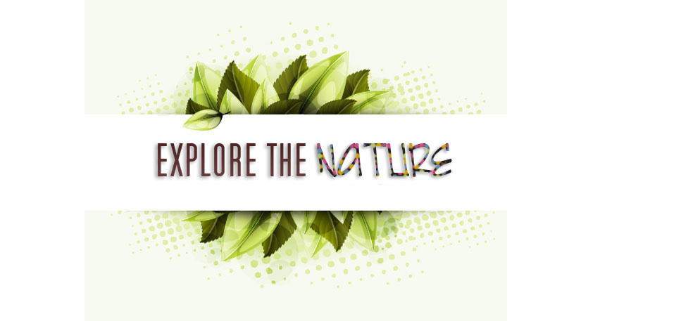 Nature tourism: LATA KINJANG WATERFALL, CHENDERIANG, PERAK