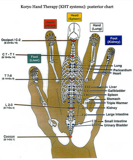 Ian Watt Cranial: HAND REFLEX POINTS FOR REMOTE TREATMENT FOCUS