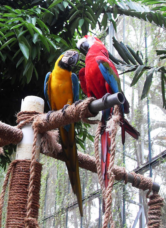 Let's holiday!: February 2012