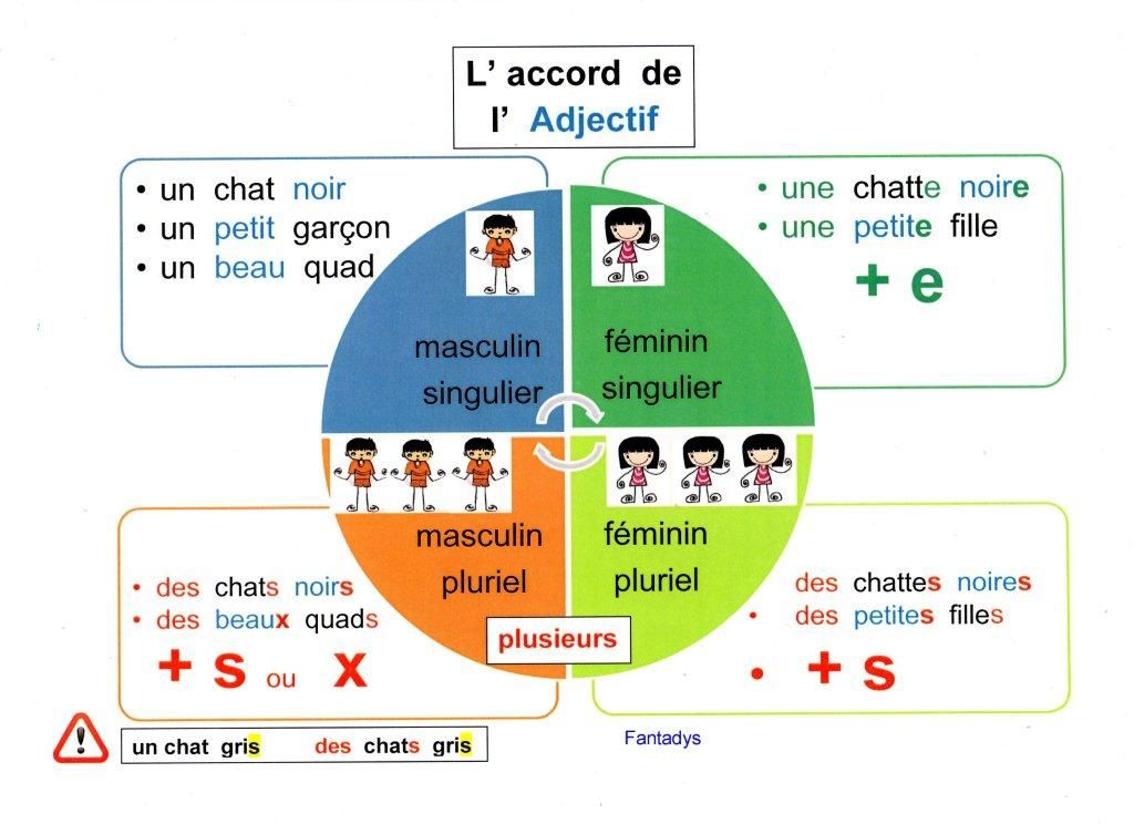 مدونة تعليمية للقسم الخامس لمؤسسة علال بن عبد الله : Orthographe : L'accord de l'adjectif ...