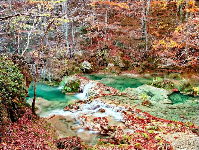 Los Lugares Más Increibles del Mundo*-._: 23 - Urederra, un río Turquesa.