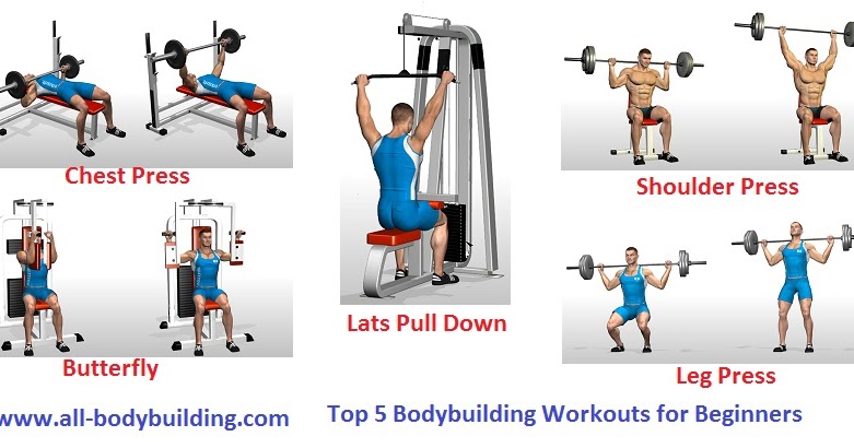 Top 5 Bodybuilding Workouts for Beginners ~ multiple fitness