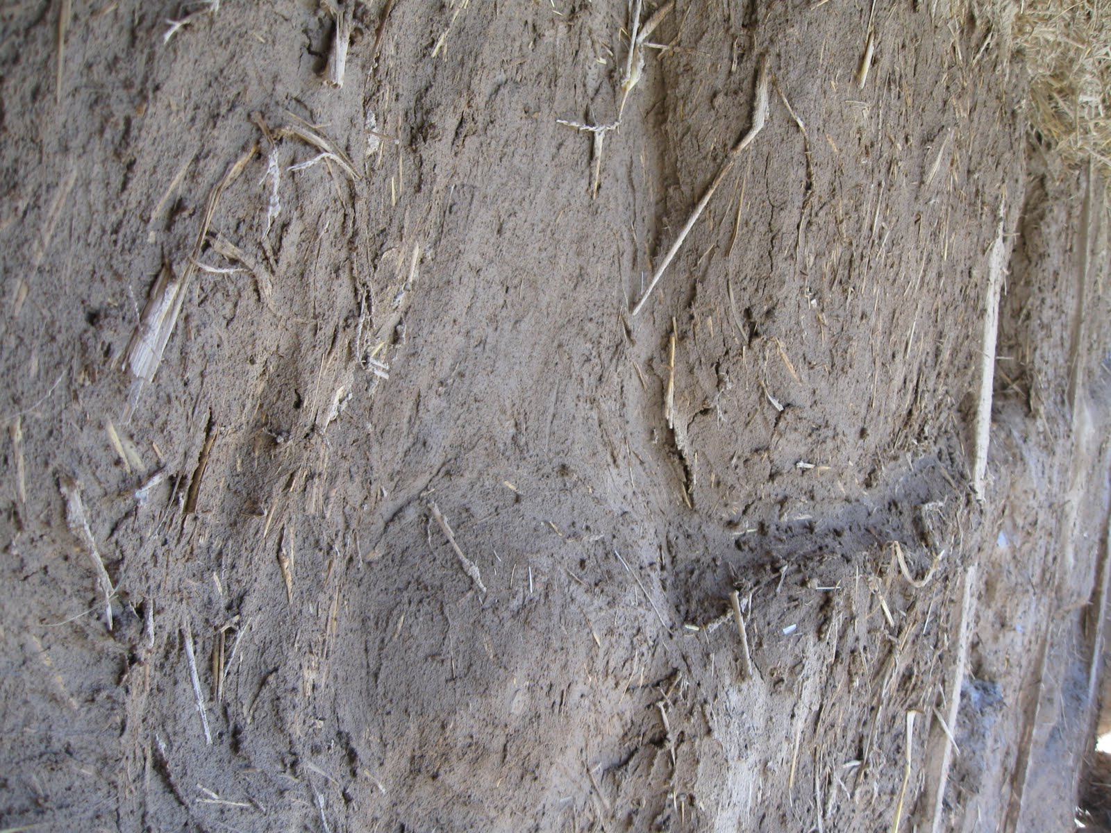 Squash Blossom Farm: Earth Plaster Stages