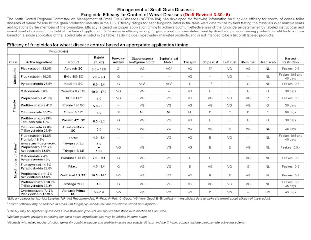 Grain Crops Update: Be on the Lookout for Wheat Rust Diseases