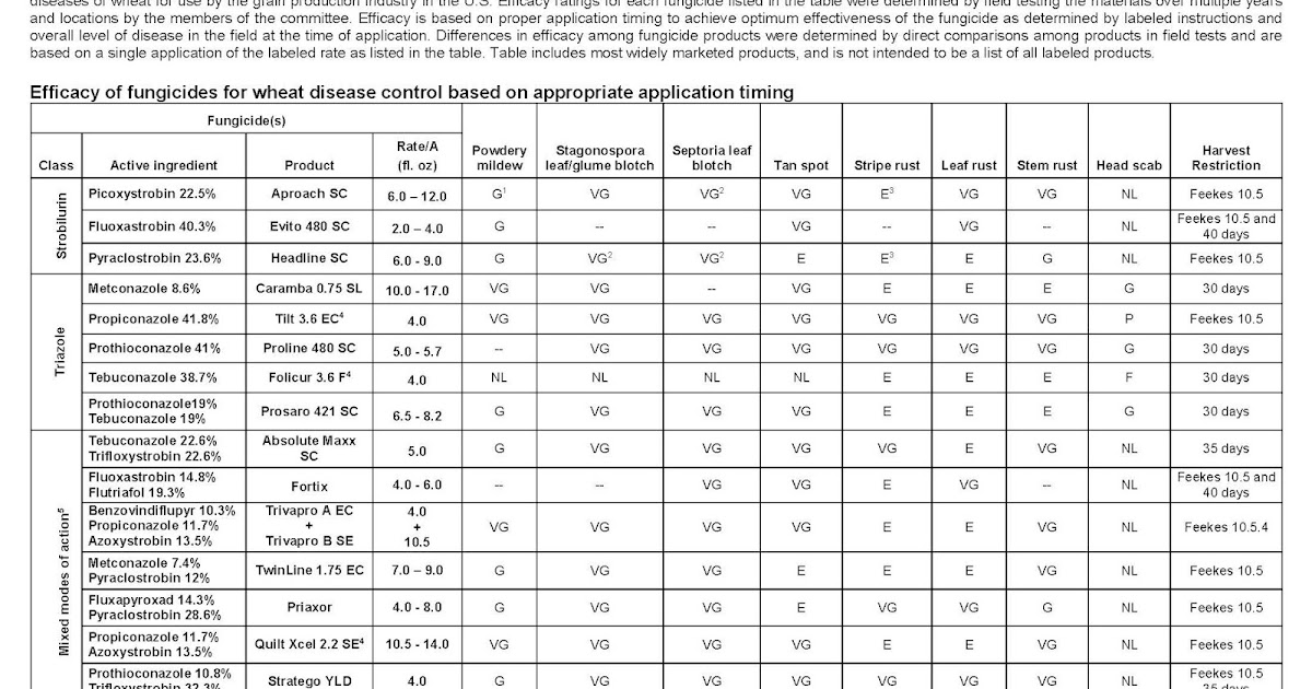 Grain Crops Update: Be on the Lookout for Wheat Rust Diseases