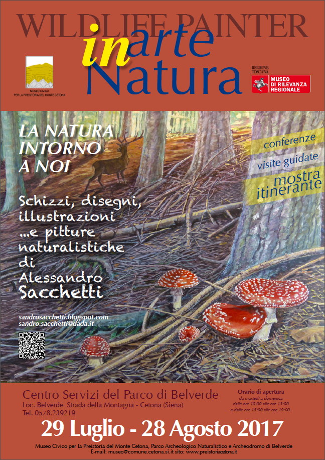 Alessandro Sacchetti - Wildlife Painter