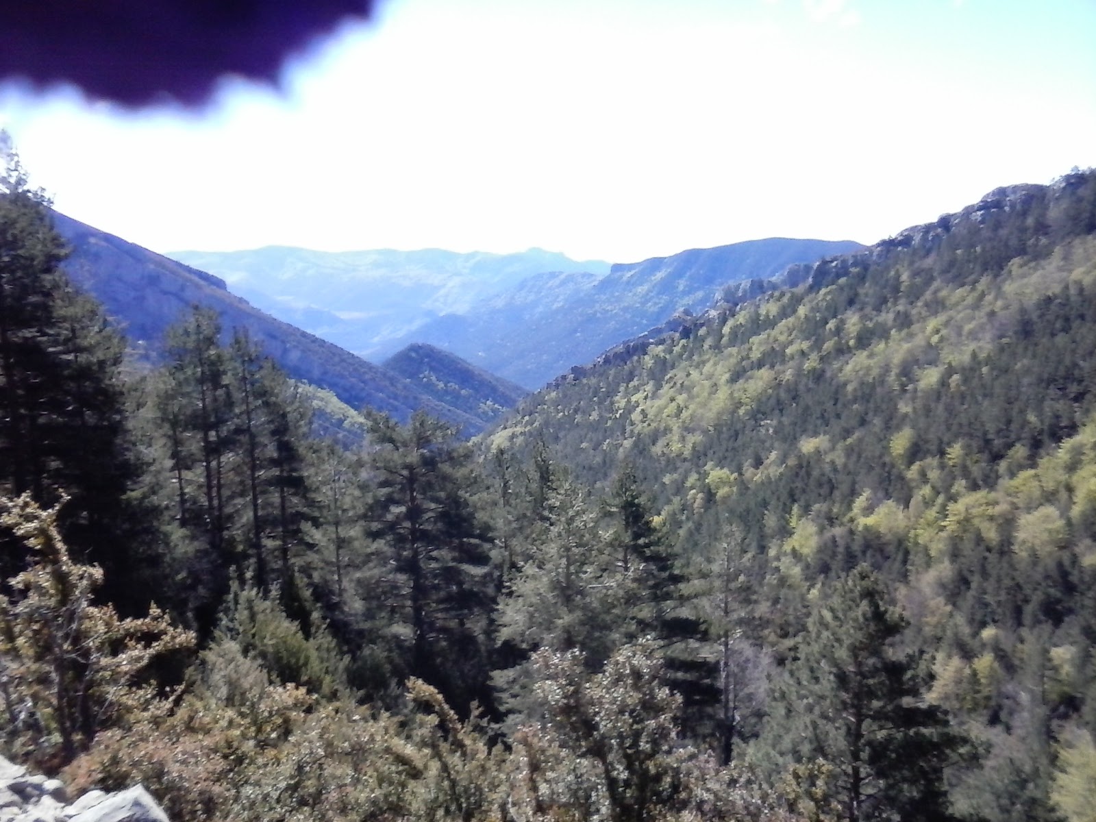 SENDERISME: Gréixer coll de Pendis