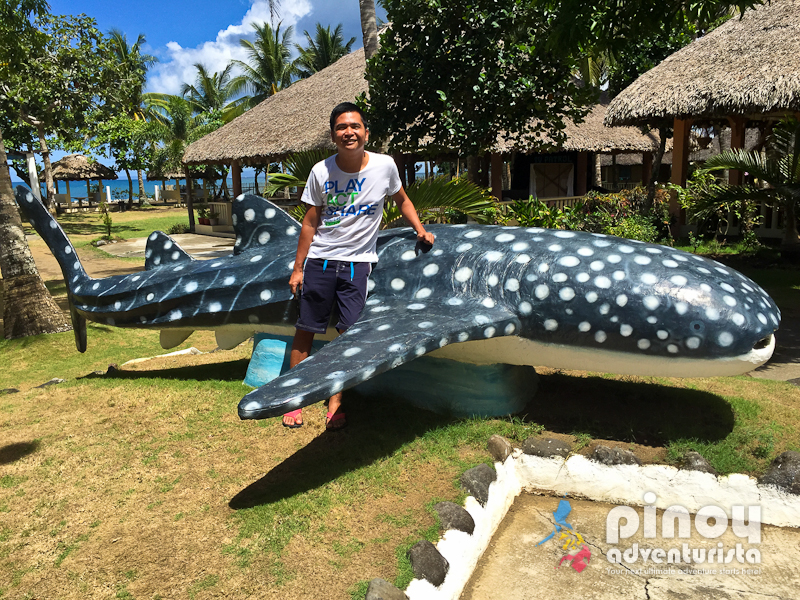 BEACH RESORTS IN DONSOL, SORSOGON: Amor Farm Beach Resort | Blogs ...