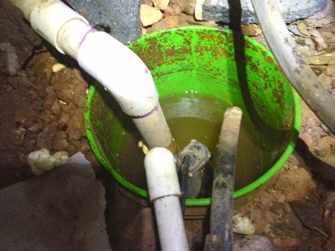 Green Frog Waterproofing: You Choose the Title!