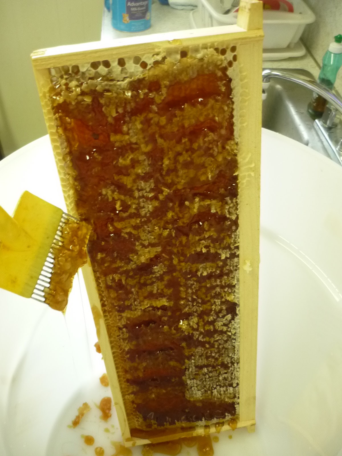 Lehmann Beekeeping and Apiary