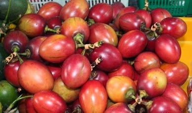 INTAN FAZNITA HAJI SAMUDI: BUAH CINTA