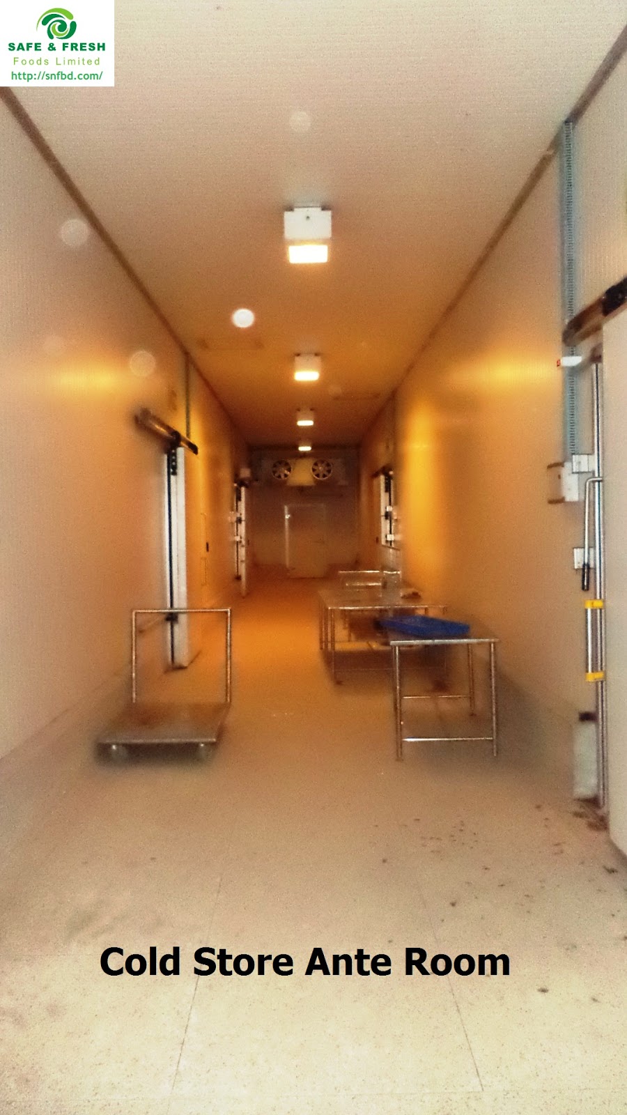 Our Cold Store Rental Service