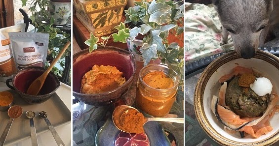 Golden Paste Recipe for Dogs and Cats