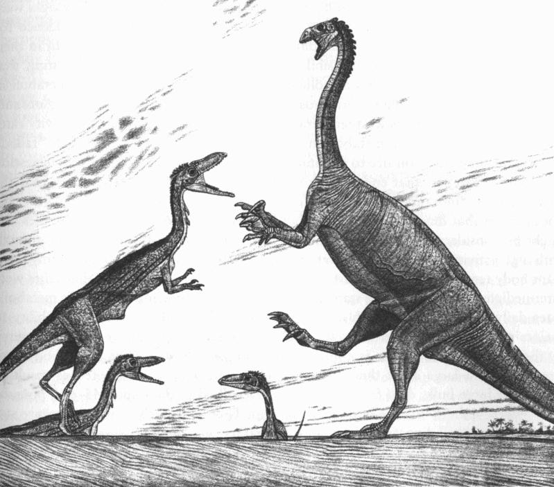 What happens when a non-accredited paleontology fan blogs: Prehistoric ...