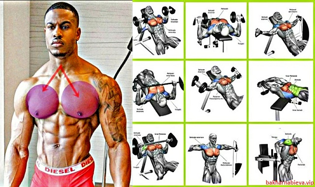 Best 5 Chest Supersets To Build Large More Powerful Pecs