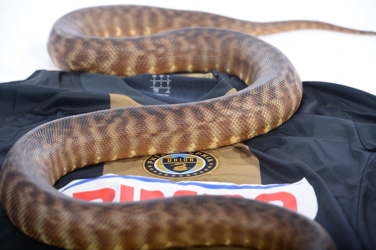 Philadelphia Union 2016 Home Kit Released - Footy Headlines