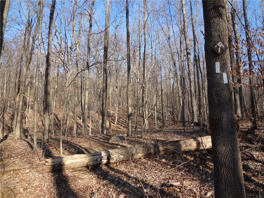 Gone Hikin': Appalachian Trail NJ: Pochuck Mountain to Wallkill River ...