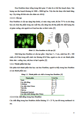 Hoa houblon và công nghiệp sản xuất bia | Cộng đồng Kỹ thuật cơ điện ...